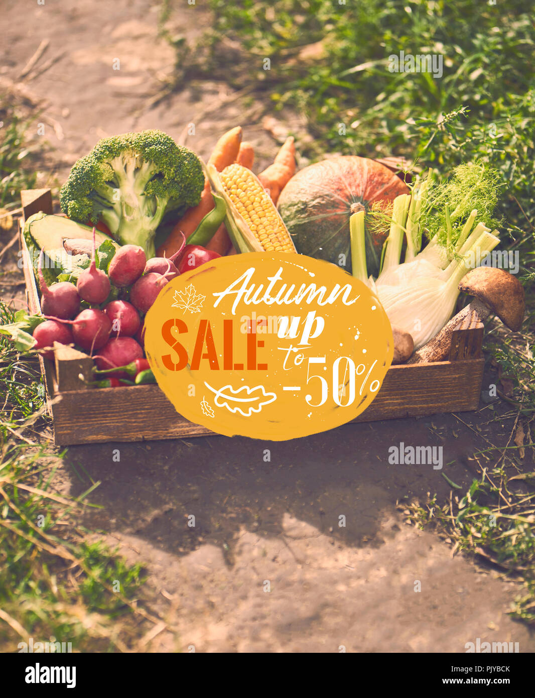 Box fresh vegetables fruit close hi-res stock photography and images ...