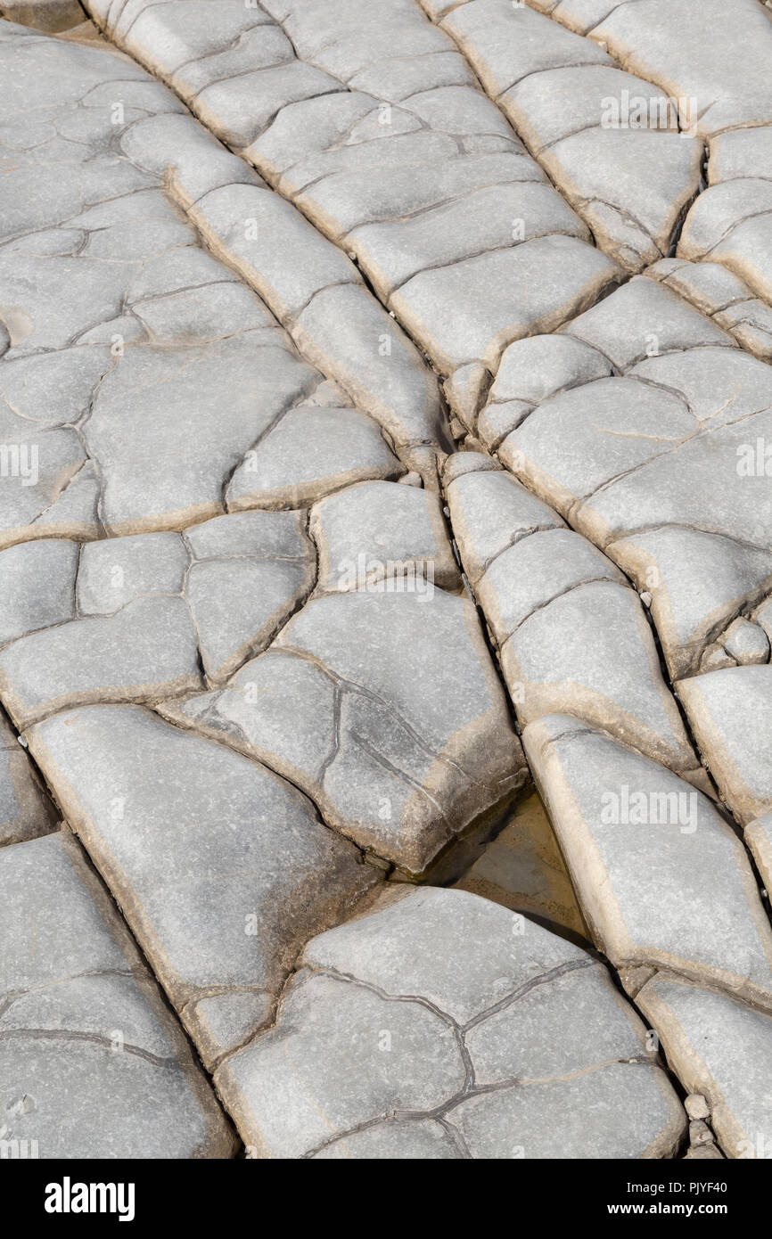Limestone pavement formation on the foreshore of Lavernock Point ...