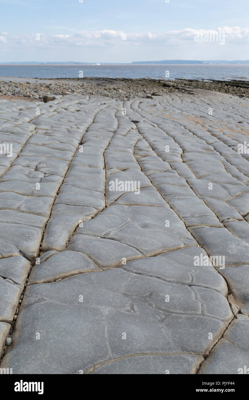 Limestone pavement formation on the foreshore of Lavernock Point ...