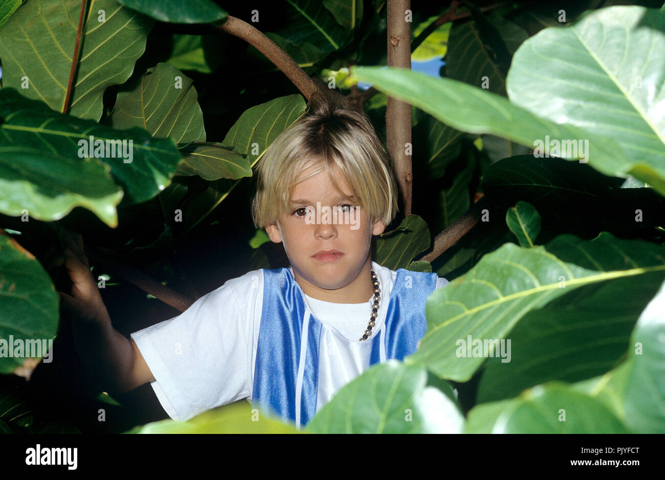 Aaron Carter in May 1997. | usage worldwide Stock Photo - Alamy