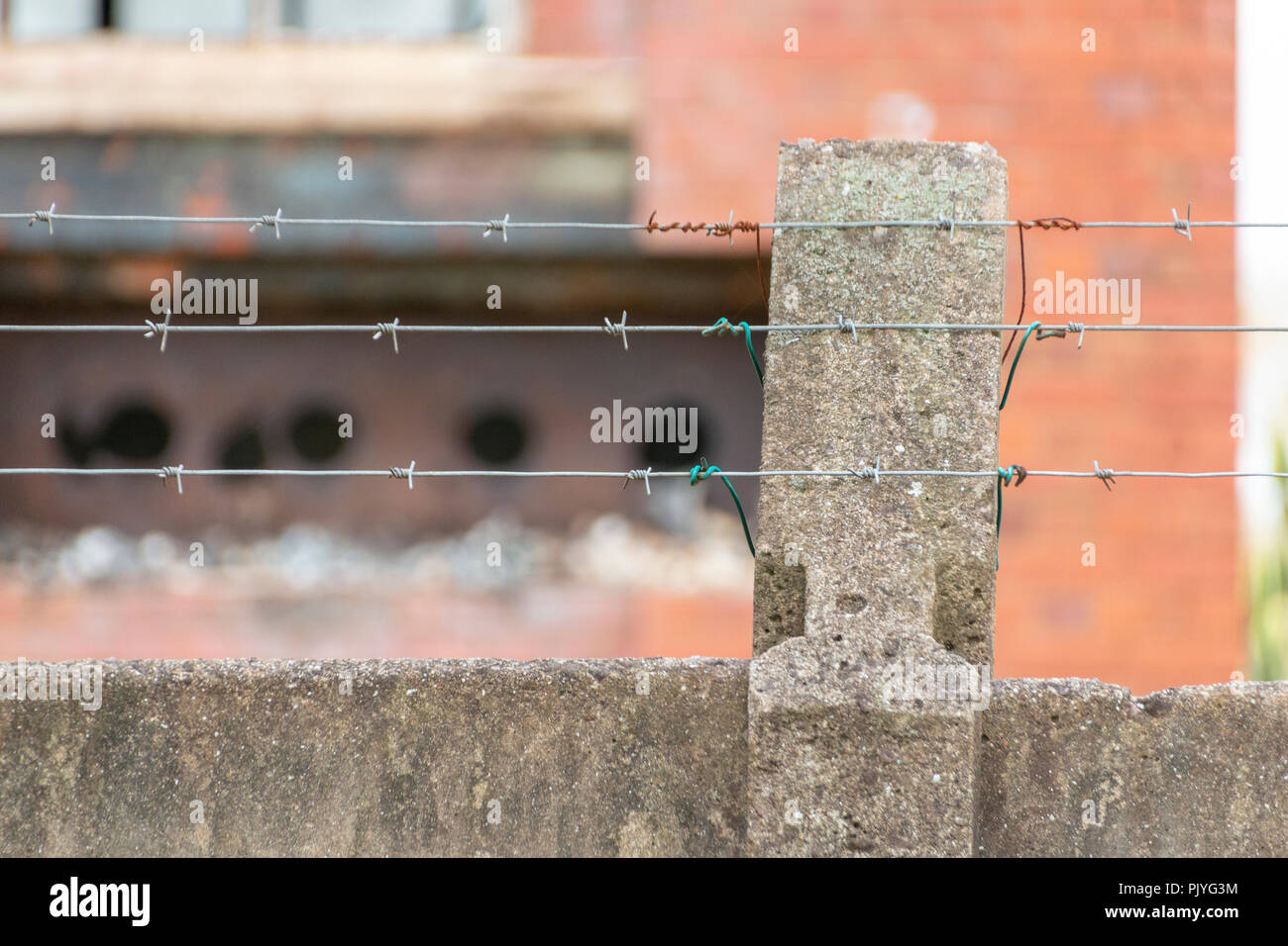 A close up view of lines of barbed wire attached to a concrete wall ...