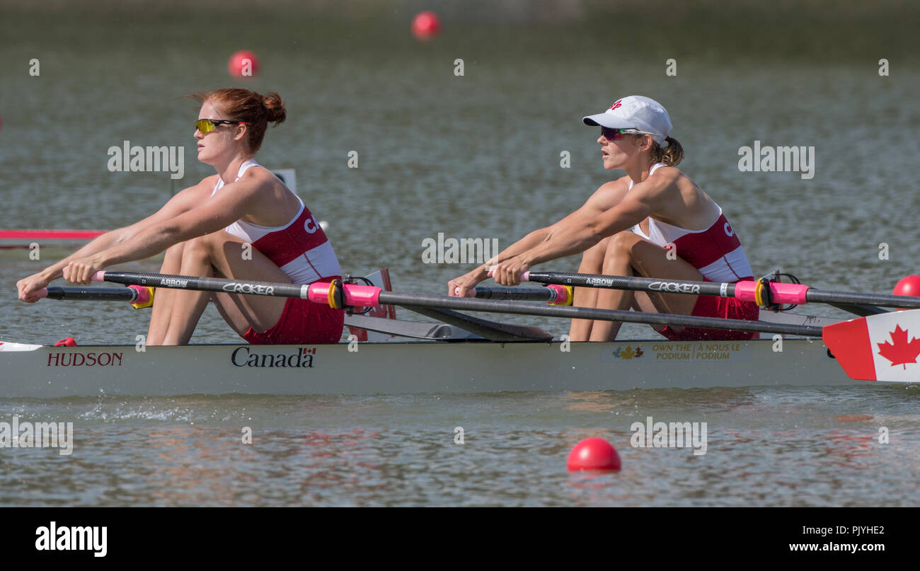 Can lw2x bow hi-res stock photography and images - Alamy
