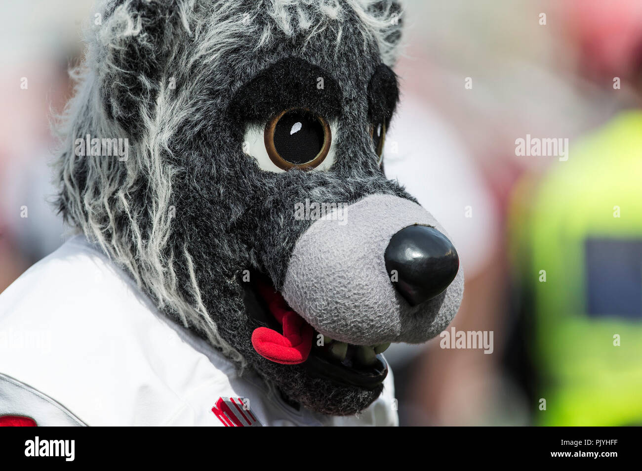 Lobo camp hi-res stock photography and images - Alamy
