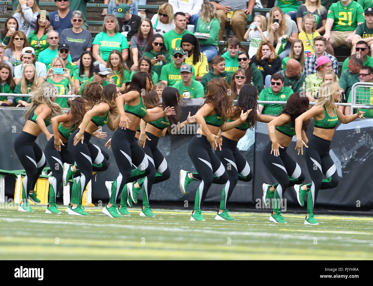 Oregon USA. 8th Sep, 2018. The Oregon cheerleaders perform for the fans ...