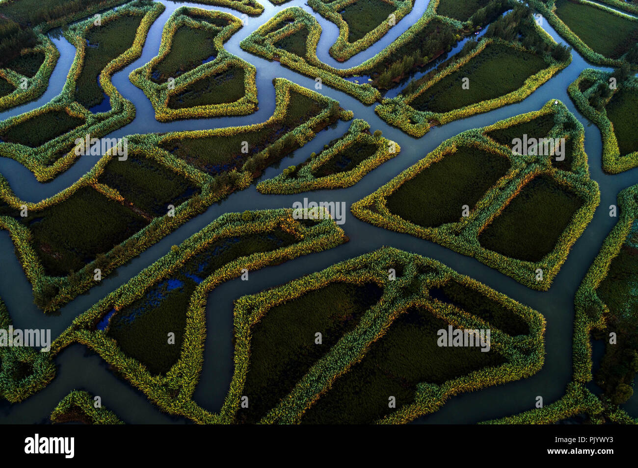 Suqian, Suqian, China. 10th Sep, 2018. Suqian, CHINA-Autumn scenery of ...