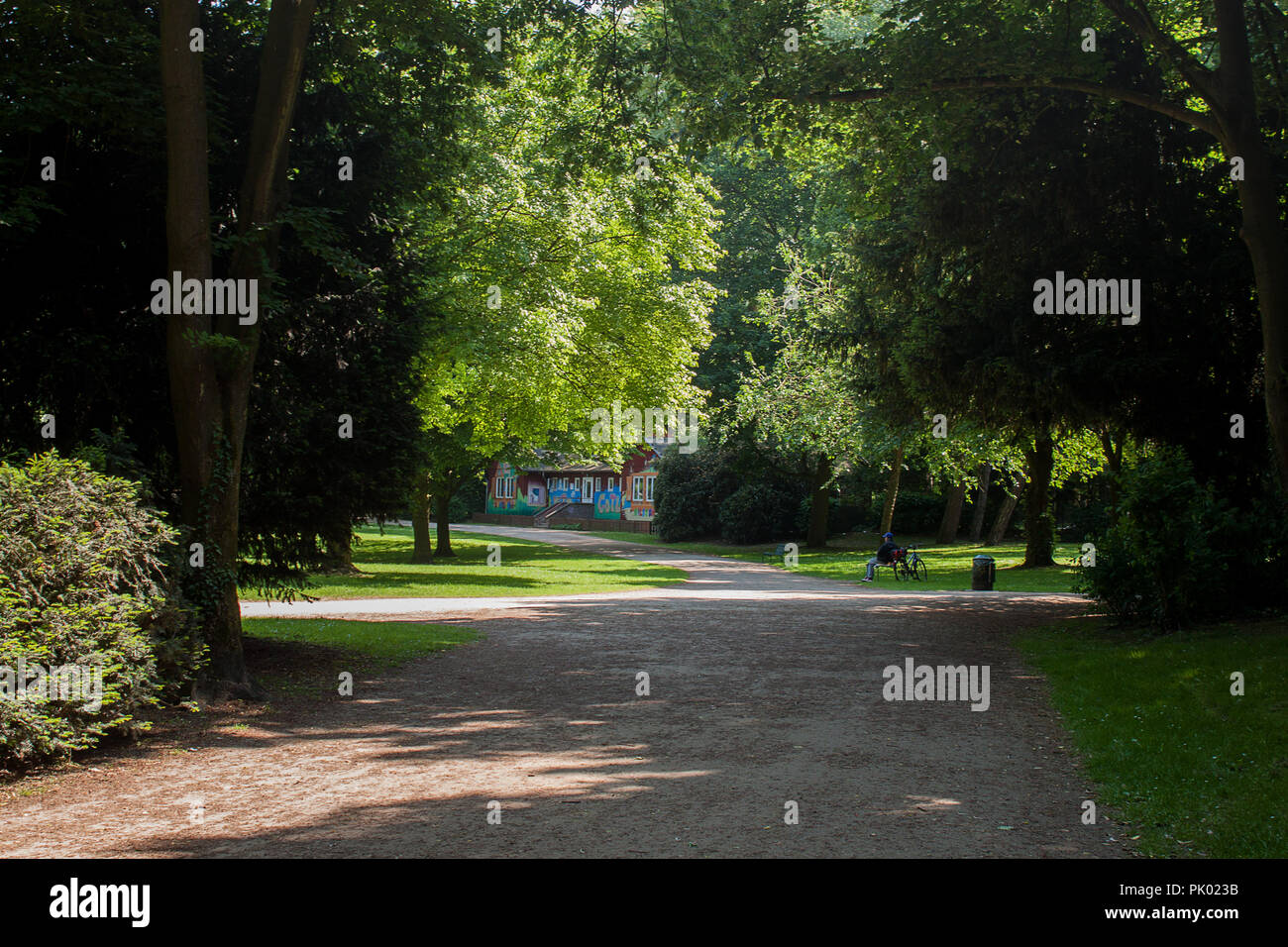 Beautiful park scene in public park with green grass field, green tree ...