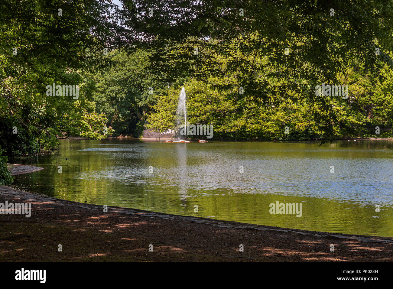 Beautiful park scene in the Volksgarten Park in Cologne, Germany Stock ...