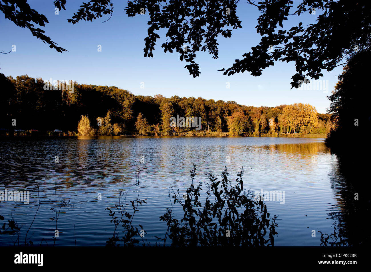 Autumn impressions of the Zoete Waters lakes in Oud-Heverlee (Belgium ...