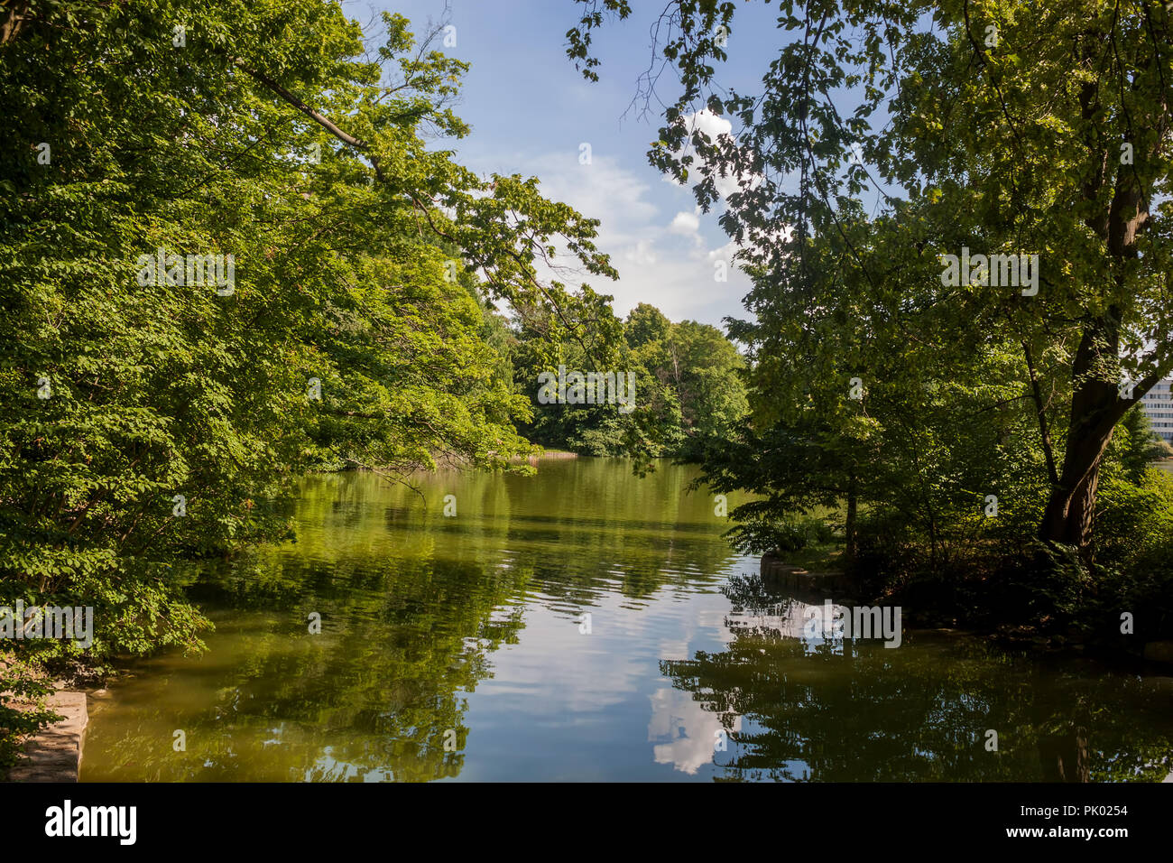 The pond Kahnweiher in the town forest in the district Lindenthal ...