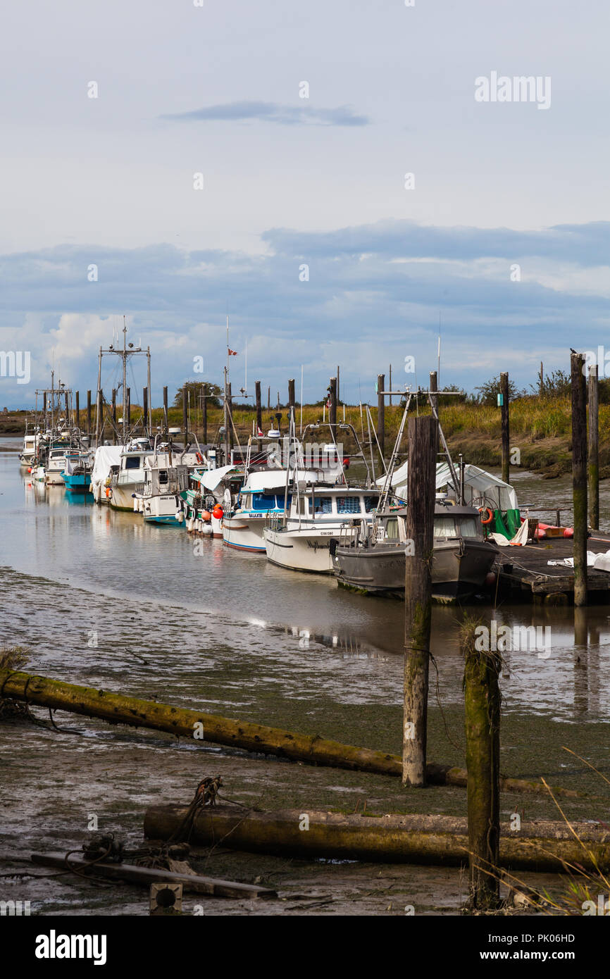 Commercial fishing boats docked in Scotch Slough at low tide in ...