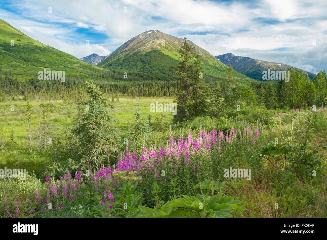 Alaskan Landscape High Resolution Stock Photography and Images - Alamy