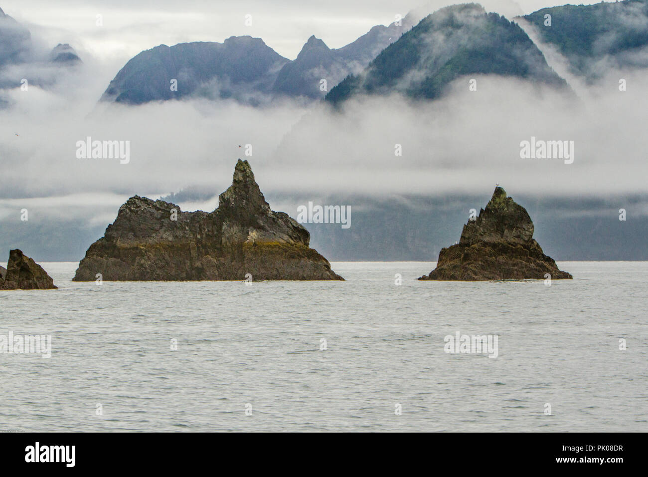 Chiswell Islands, located in the Kenai Peninsula, Alaska, USA. Two ...