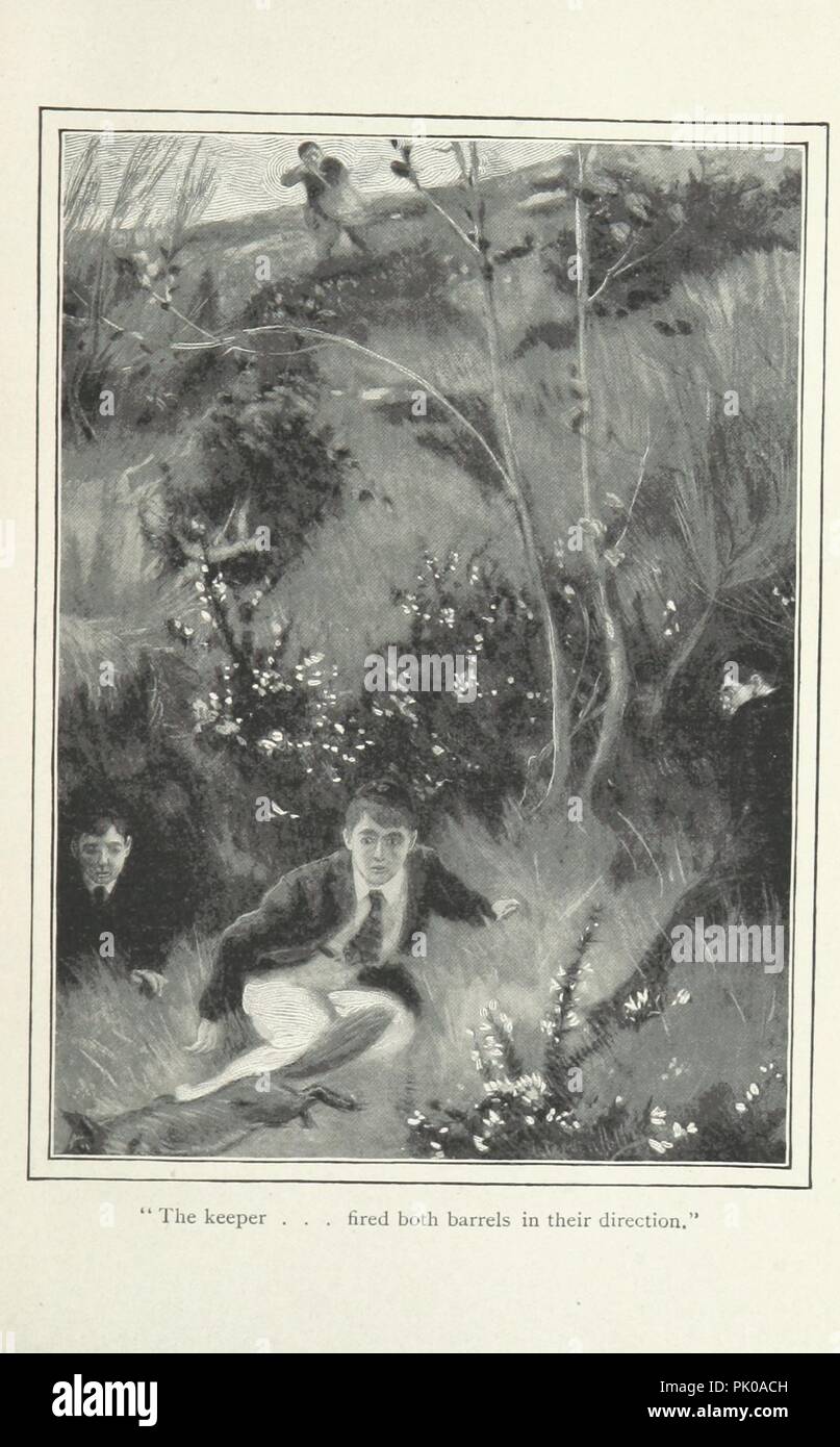 Stalky hi-res stock photography and images - Alamy