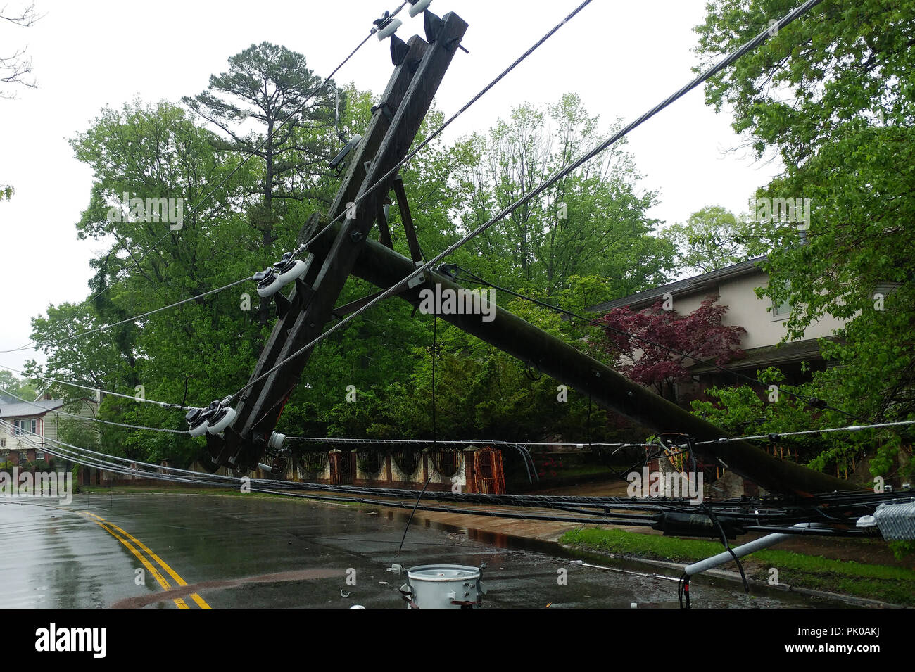 transformer on a electric poles and a tree laying across power lines ...