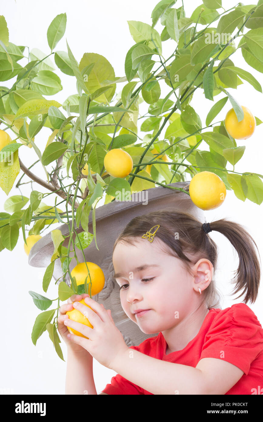 Lemon tree and girl hi-res stock photography and images - Alamy