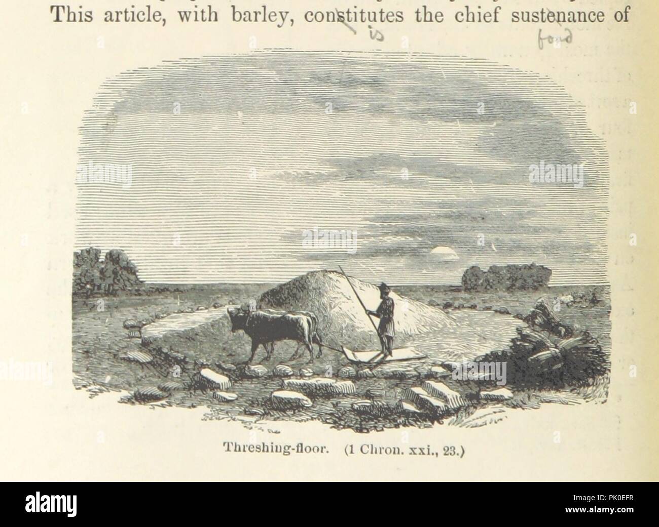 Image from page 90 of 'Bible Lands, their modern customs and manners ...