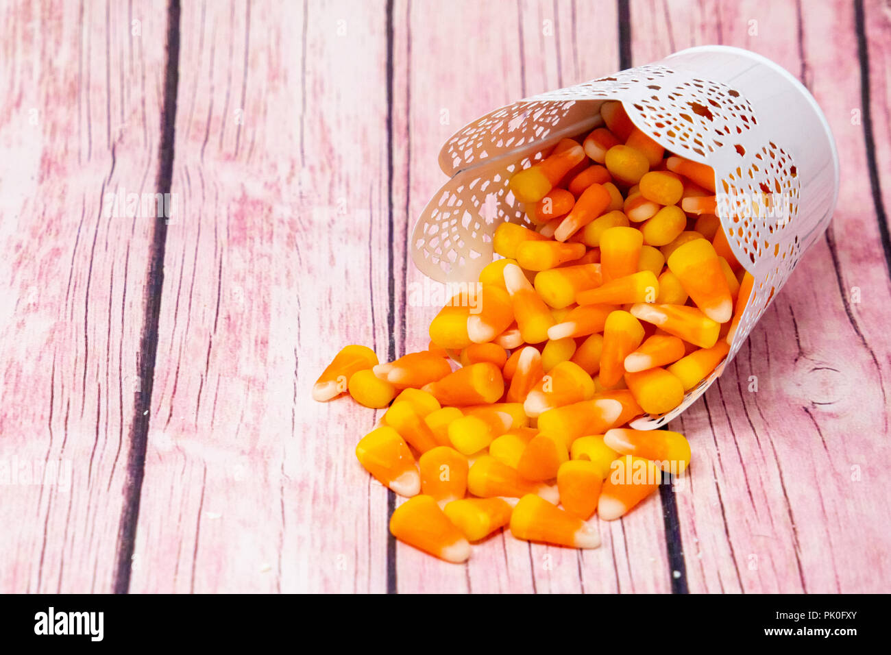 Spilled white bucket of candy corn Halloween candy on a pastel pink ...