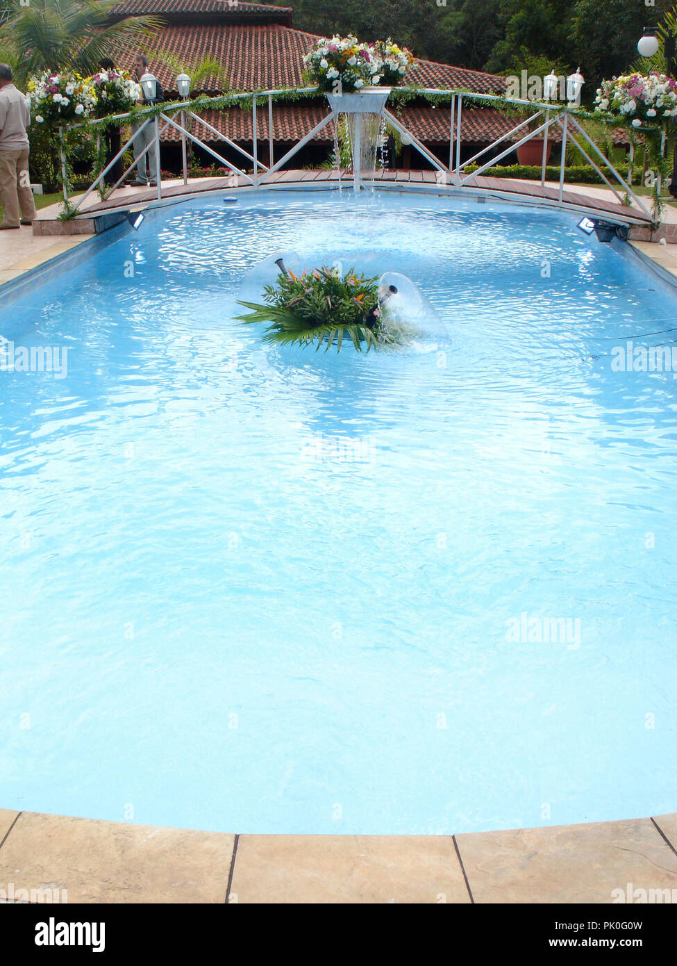 Swimming pool, Cascade, São Paulo, Brazil Stock Photo - Alamy