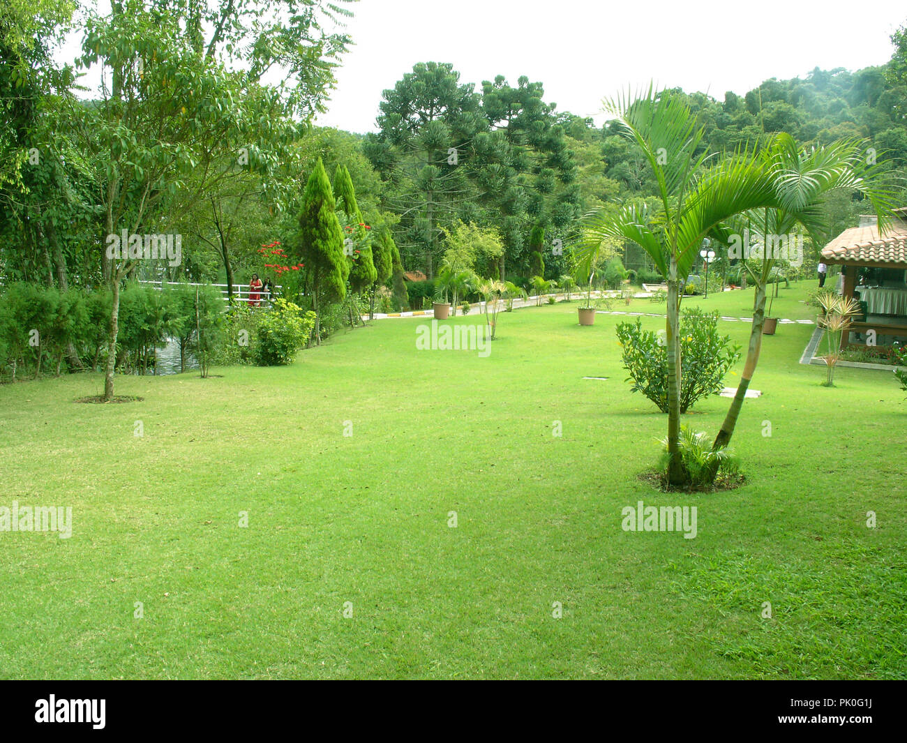 Landscape, Ranch, São Paulo, Brazil Stock Photo - Alamy