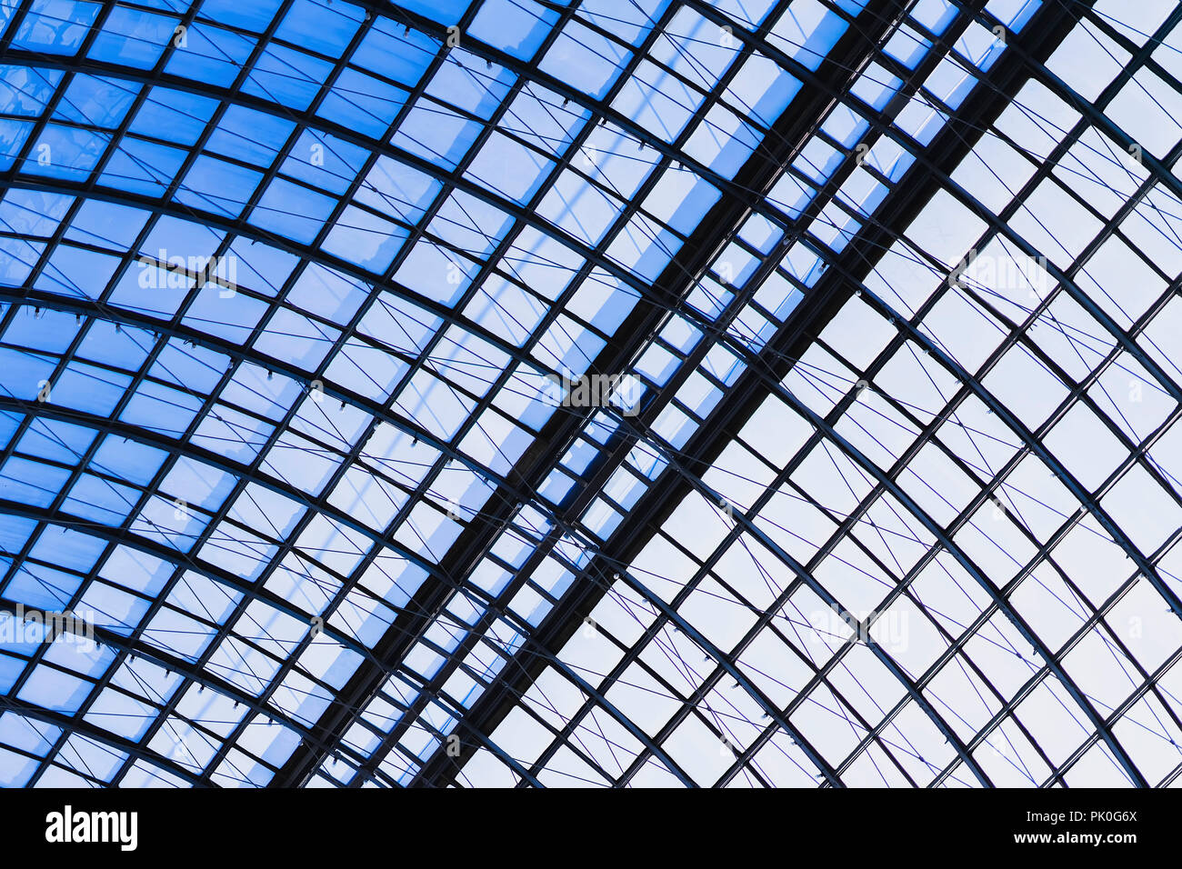 Detail of a glass dome with a metal frame close-up, armature. Graphic ...
