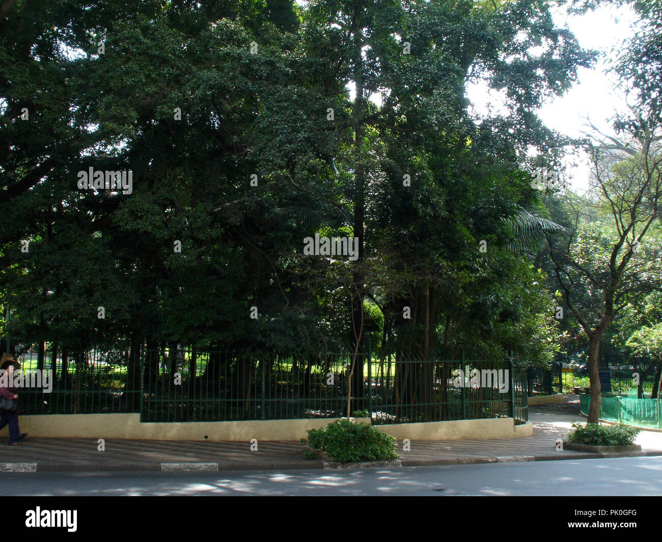 Higienopolis avenue hi-res stock photography and images - Alamy