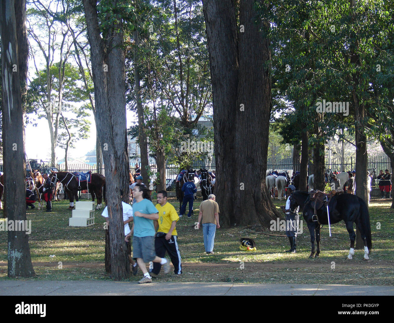 9 de Julho Parade, Revolution Constitucionalista, Ibirapuera Park, São ...