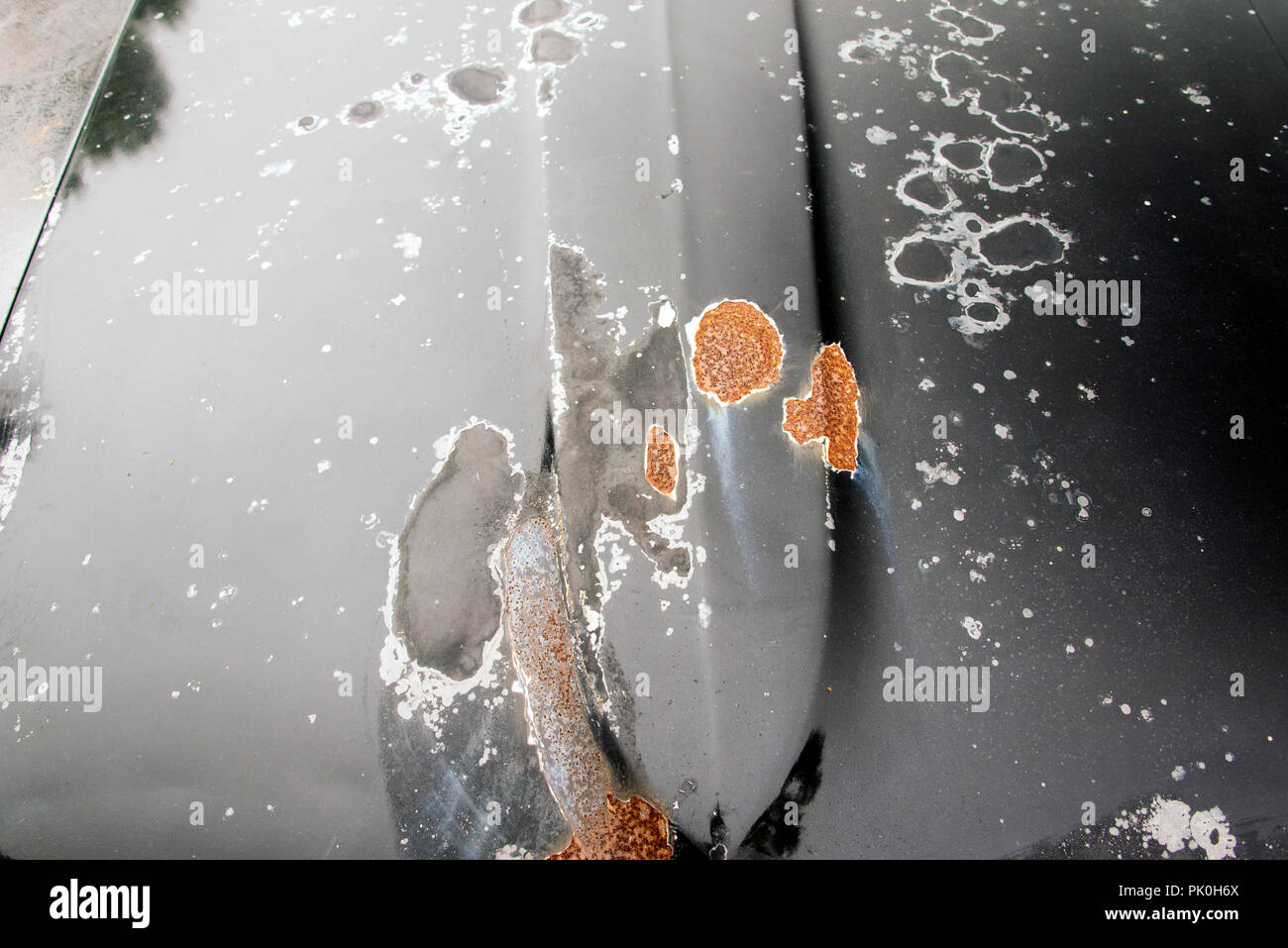 Car hood black hi-res stock photography and images - Alamy