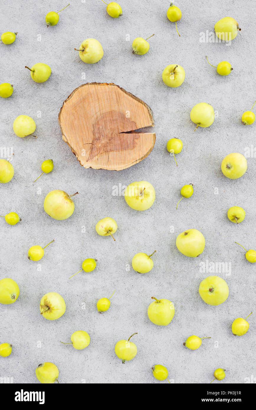 Empty apple tree hi-res stock photography and images - Alamy