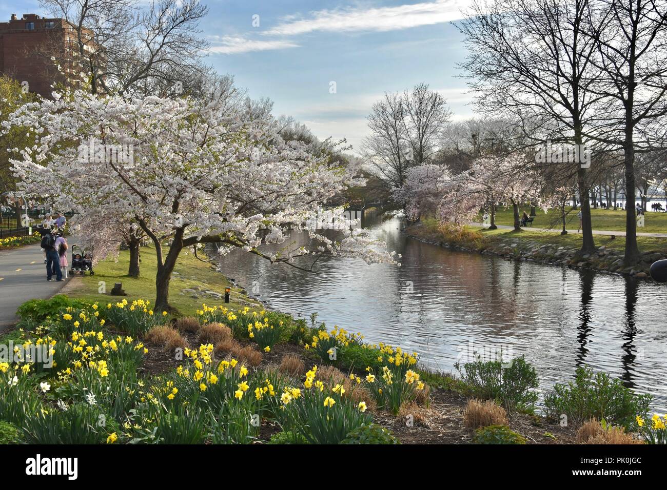 Springtime In Boston