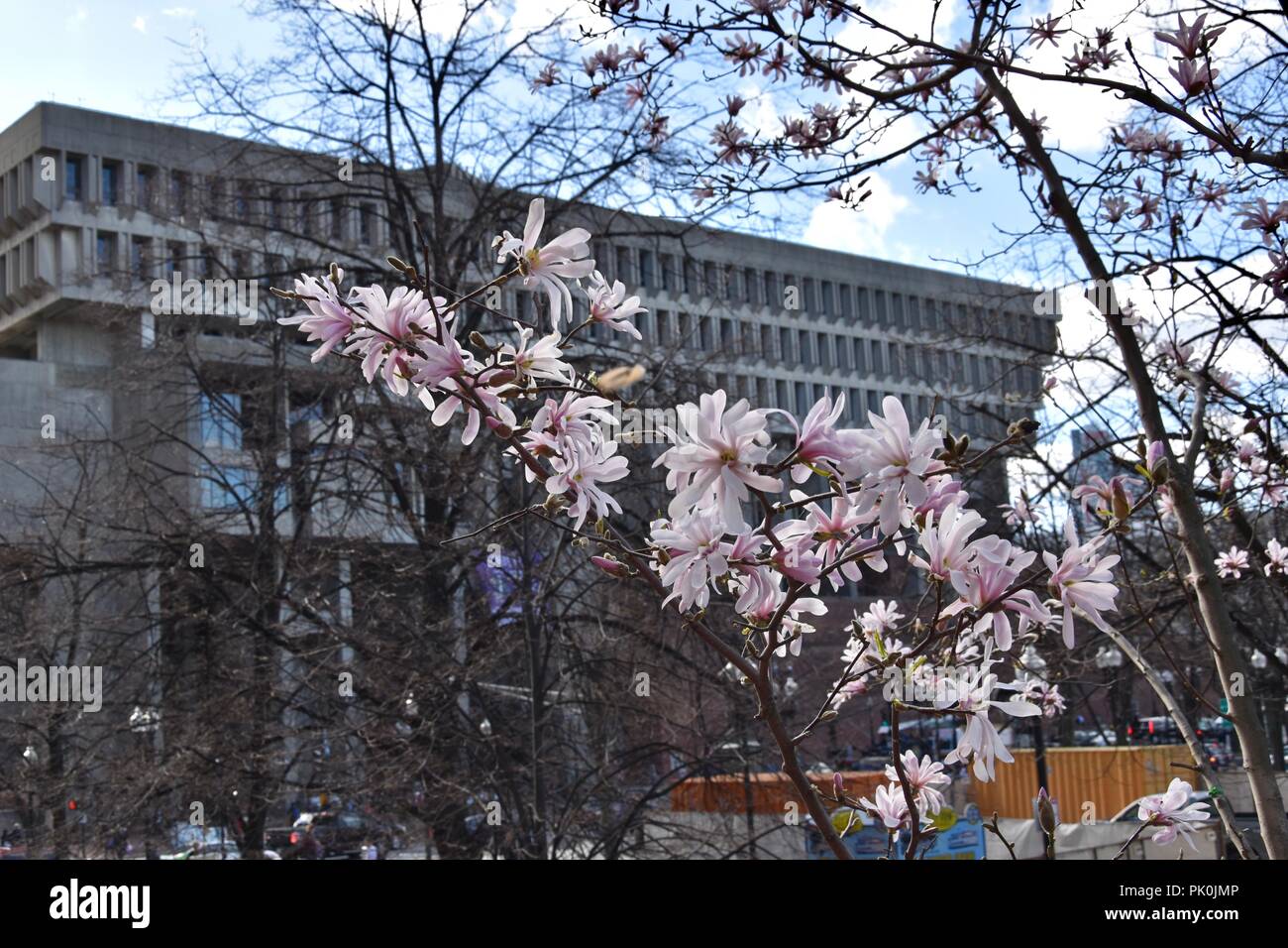 Springtime around Boston, Massachusetts, USA Stock Photo - Alamy