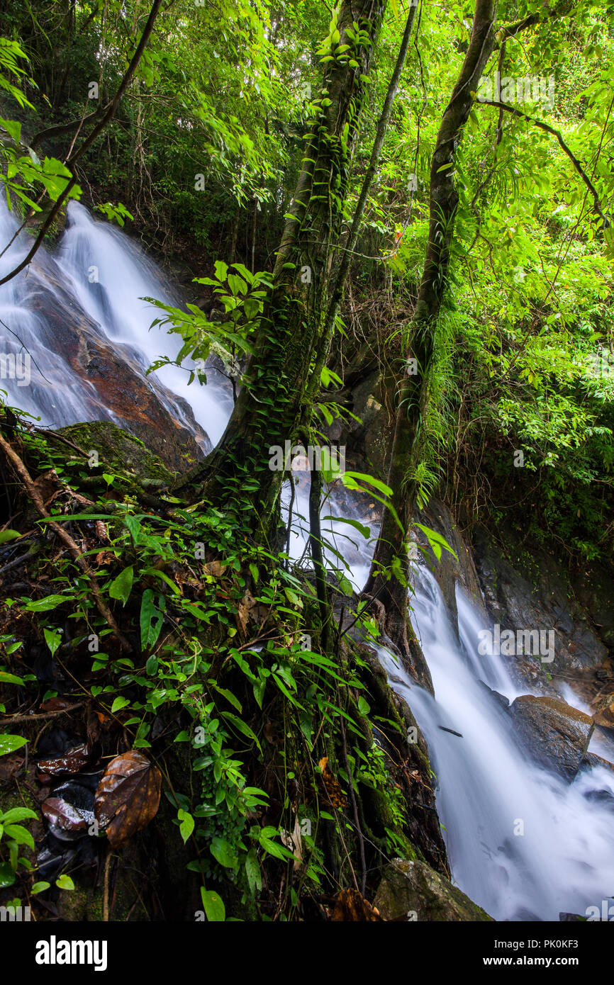 Ton chong fa waterfall hi-res stock photography and images - Alamy