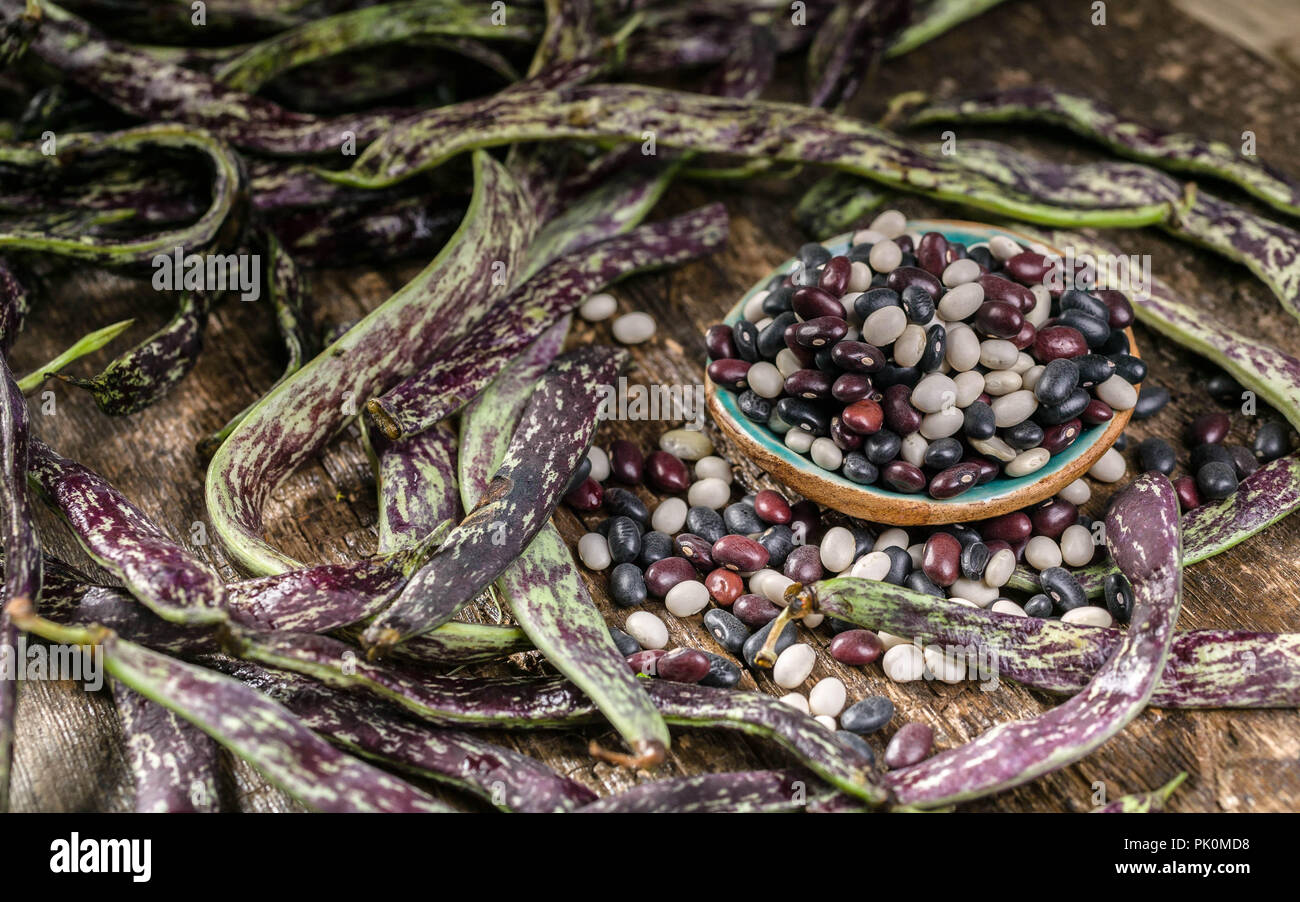Colored bean pods hi-res stock photography and images - Alamy