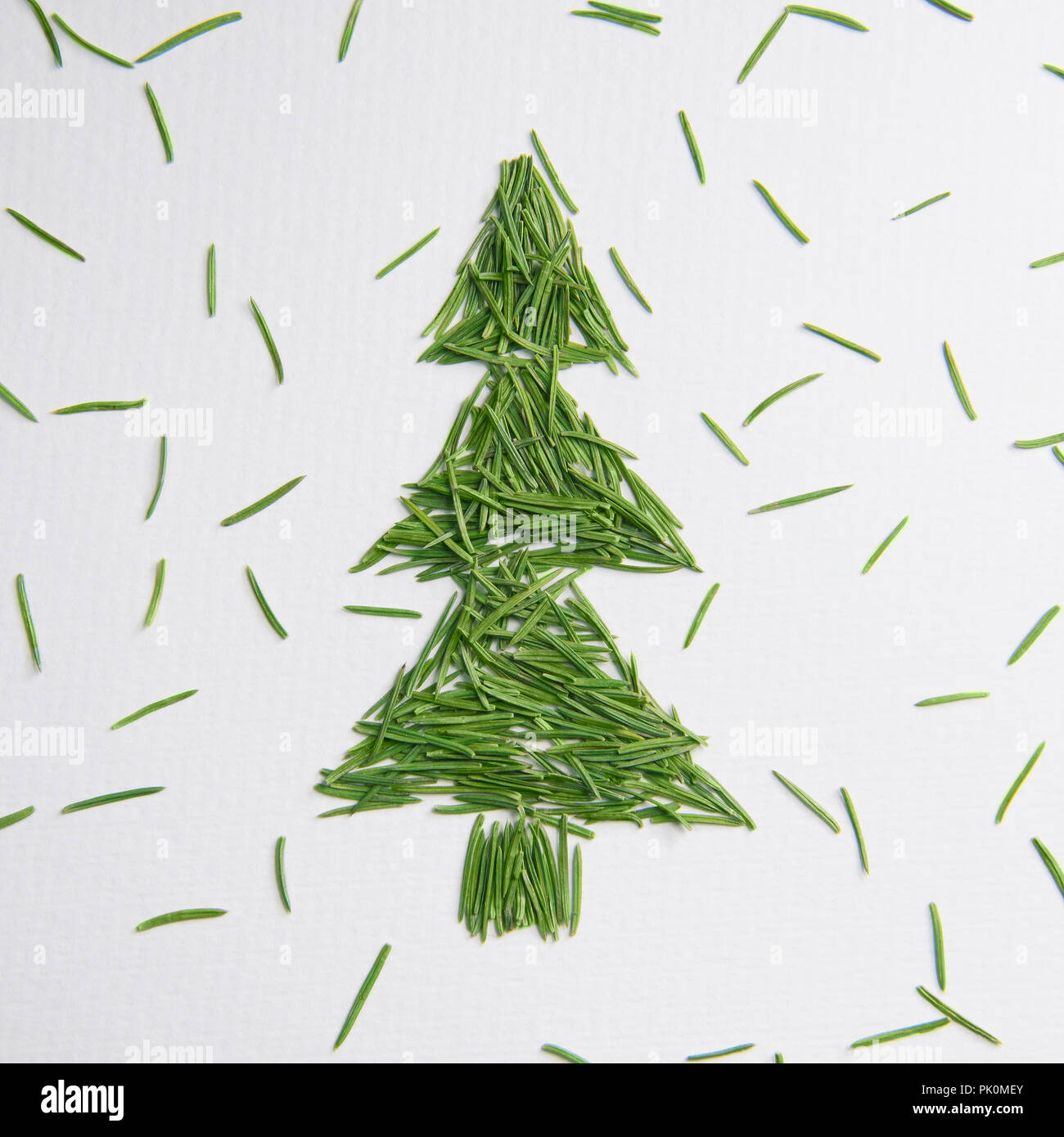 Green tree of the needles Stock Photo - Alamy