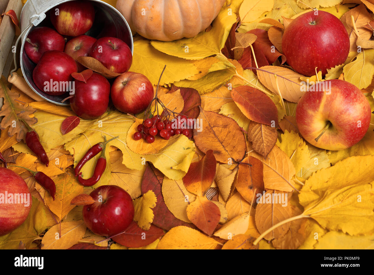 autumn harvest - fruits and vegetables are on fallen yellow leaves ...