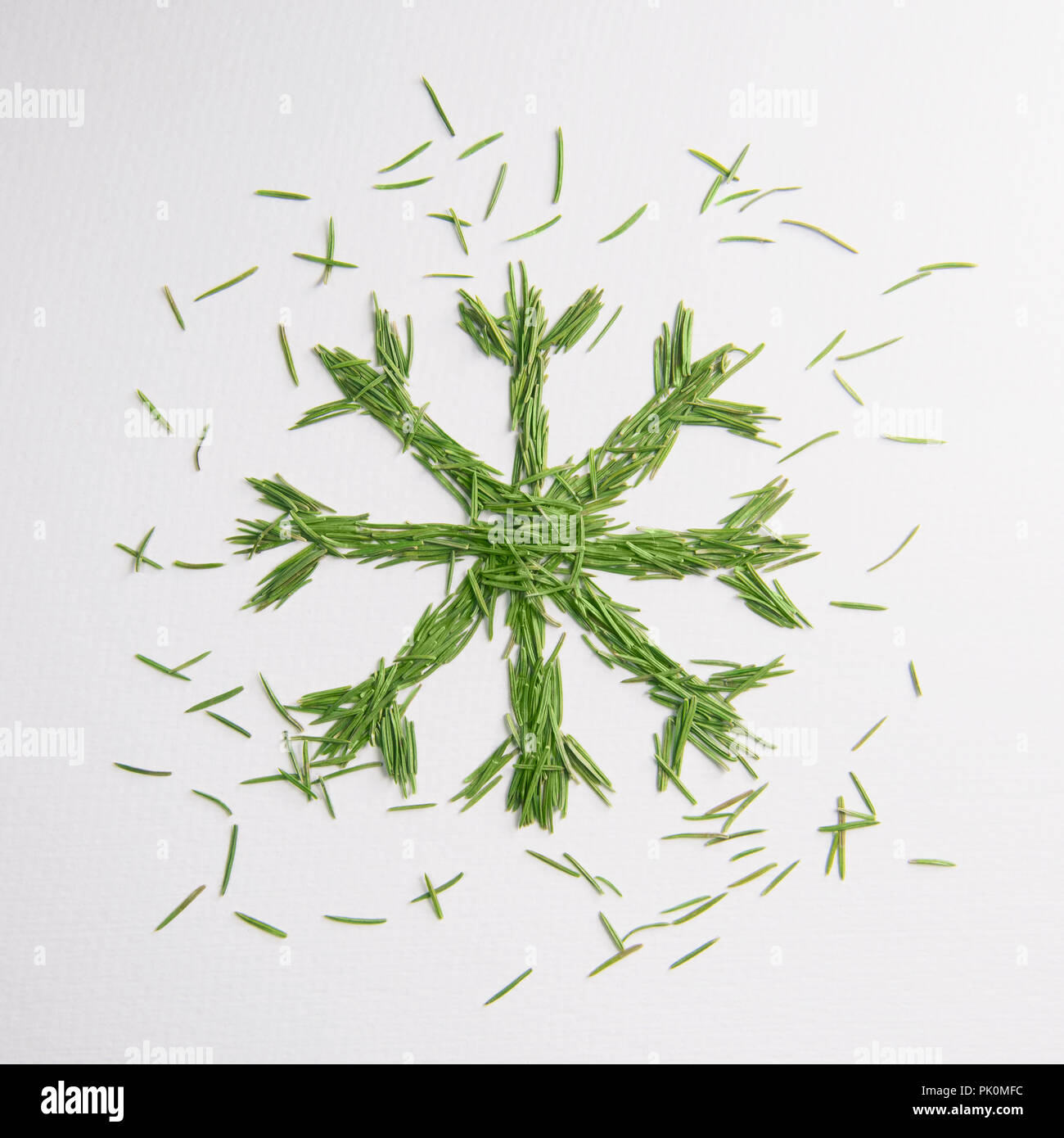 Green snowflake of the needles Stock Photo - Alamy