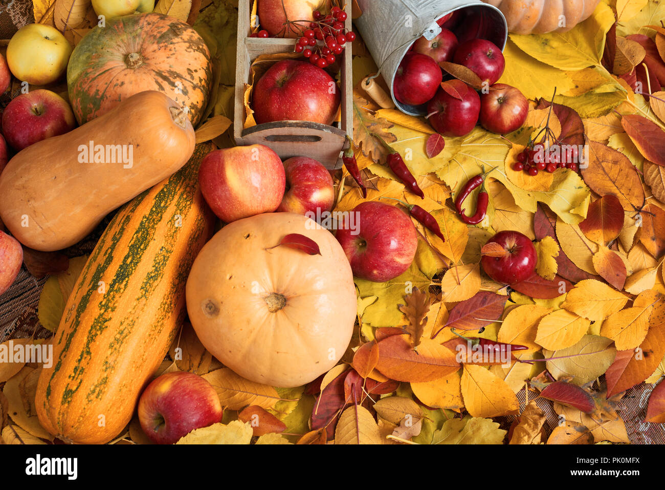 autumn harvest - fruits and vegetables are on fallen yellow leaves ...