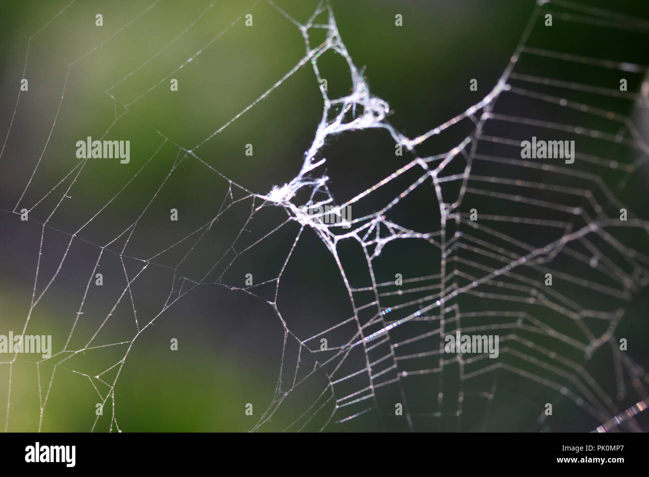 abstract spider web background Stock Photo - Alamy