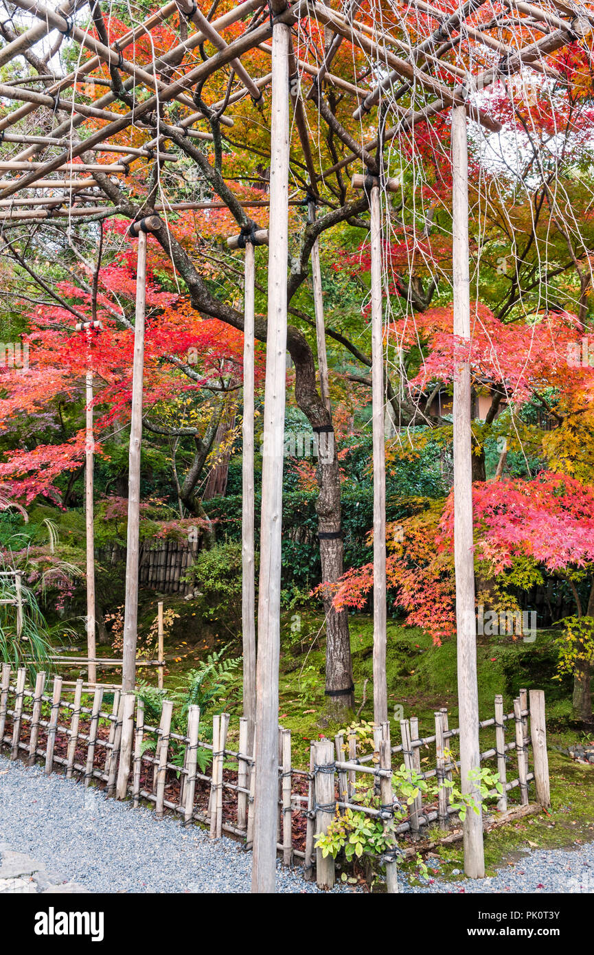 Kyoto, Japan. Tree supports in the gardens of the Zen Buddhist temple ...
