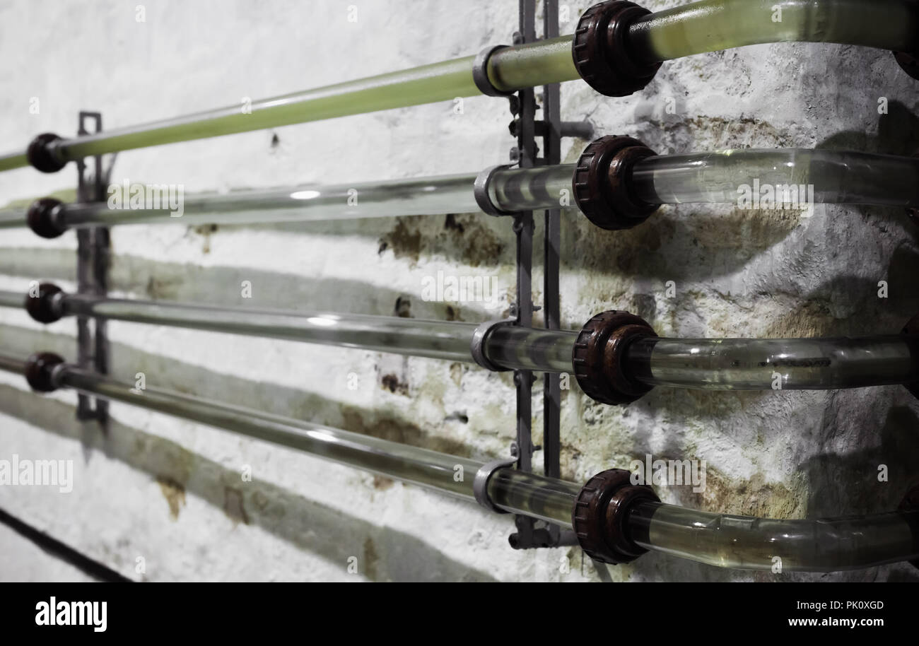 Glass pipeline for pumping wine at the winery Stock Photo - Alamy