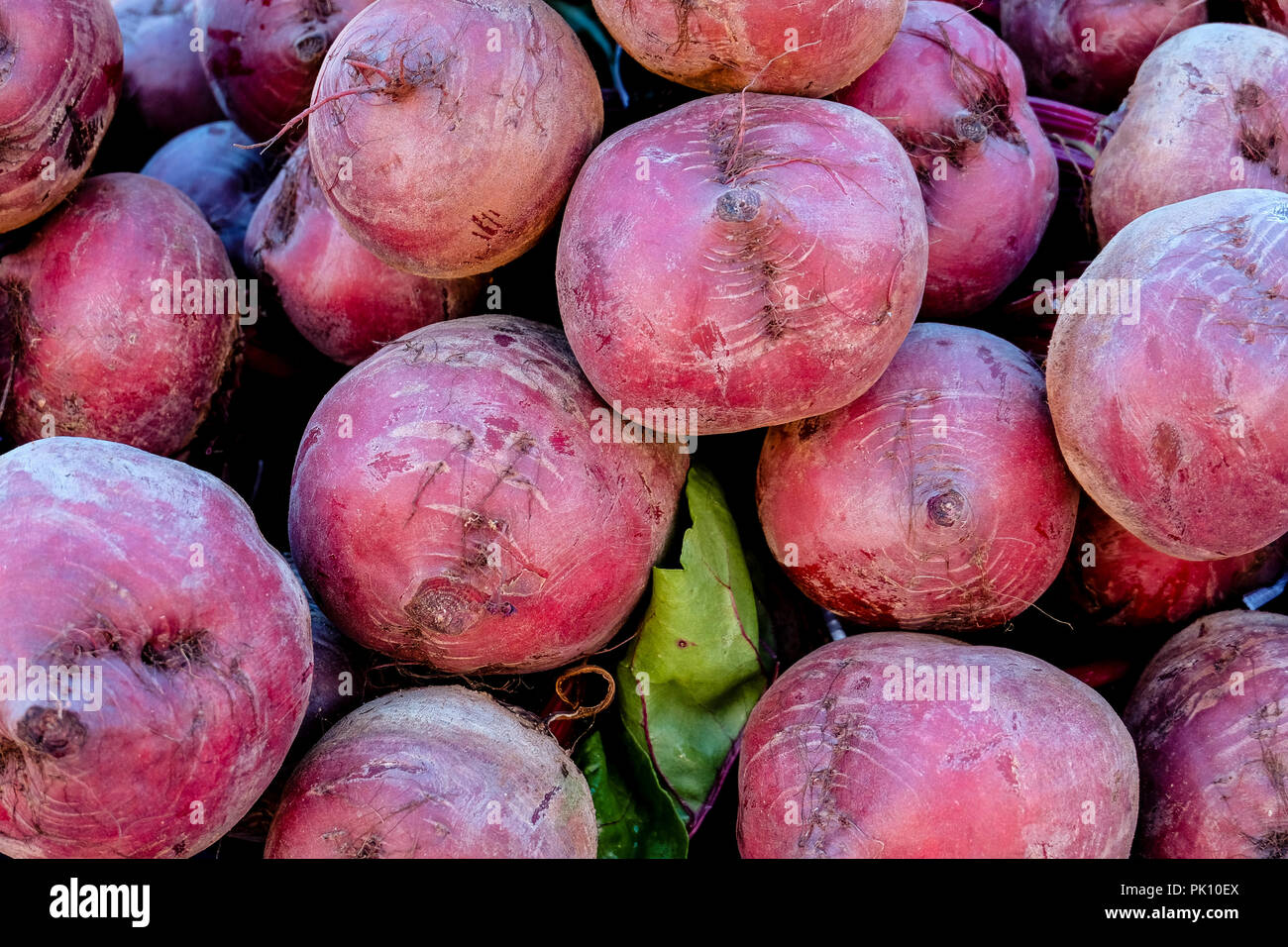 Fresh organic beet, beetroot Stock Photo - Alamy