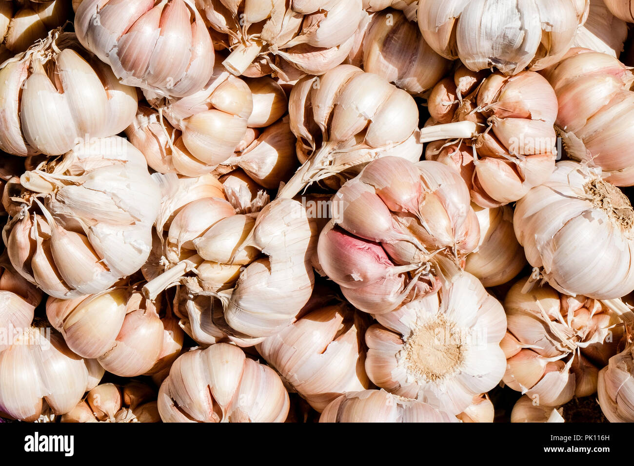 Fresh garlic background Stock Photo - Alamy