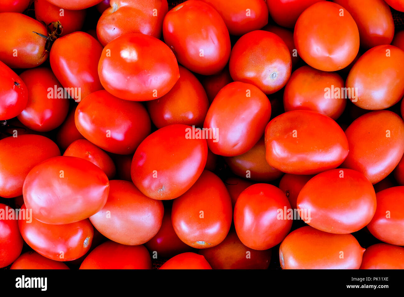 Tomato prop hi-res stock photography and images - Alamy