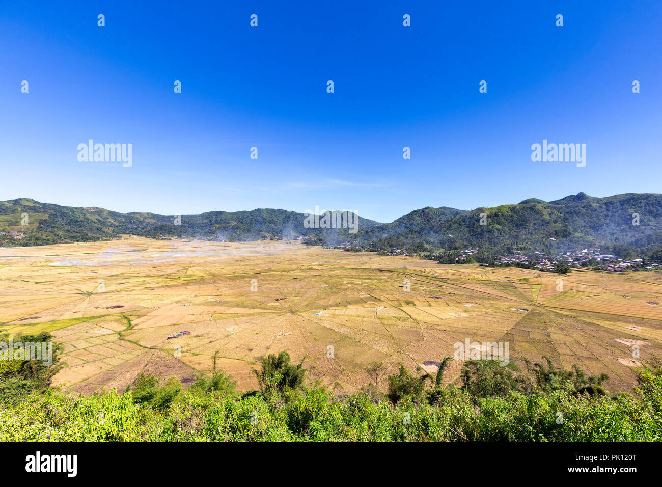 Wide angle view of the spider rice fields in East Nusa Tenggara ...