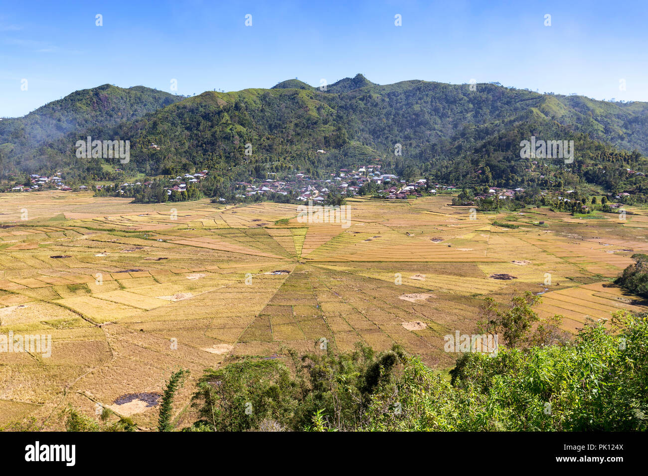Villages on the outskirts of the famous Spider Rice Fields in Indonesia ...