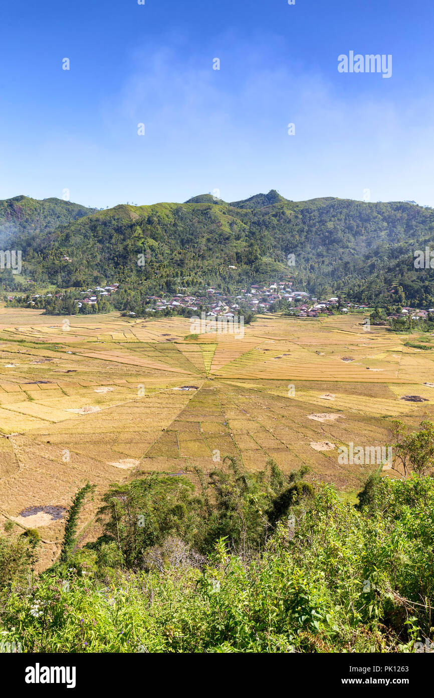 Portrait view of the Spider Rice Fields in Flores, Indonesia Stock ...