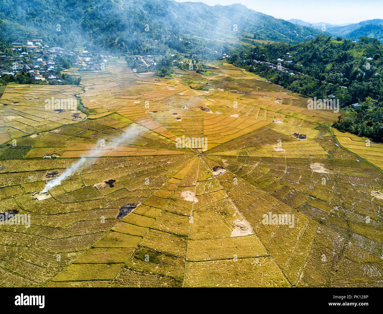 Aerial view of the harvest and burning of rice fields at the famous ...