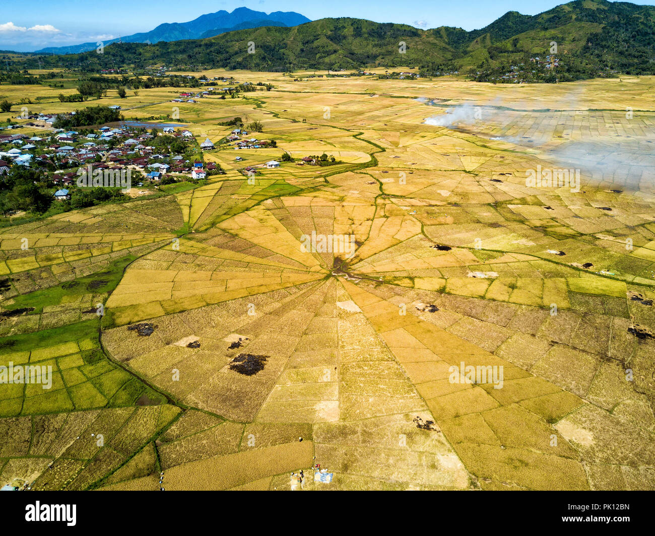 Aerial view of the spider rice fields at the beginning of the dry ...
