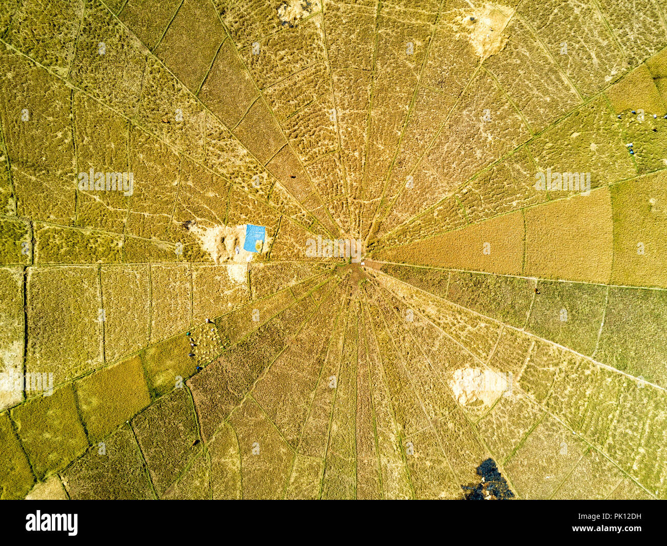 Aerial view of the patchwork of rice plots at the spider rice fields in ...