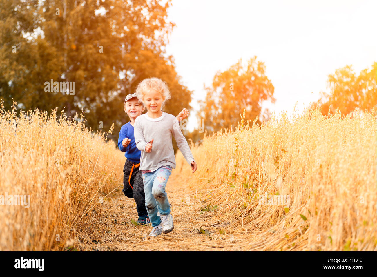 Little boy and girl on a wheat field in the sunlight running, playing ...