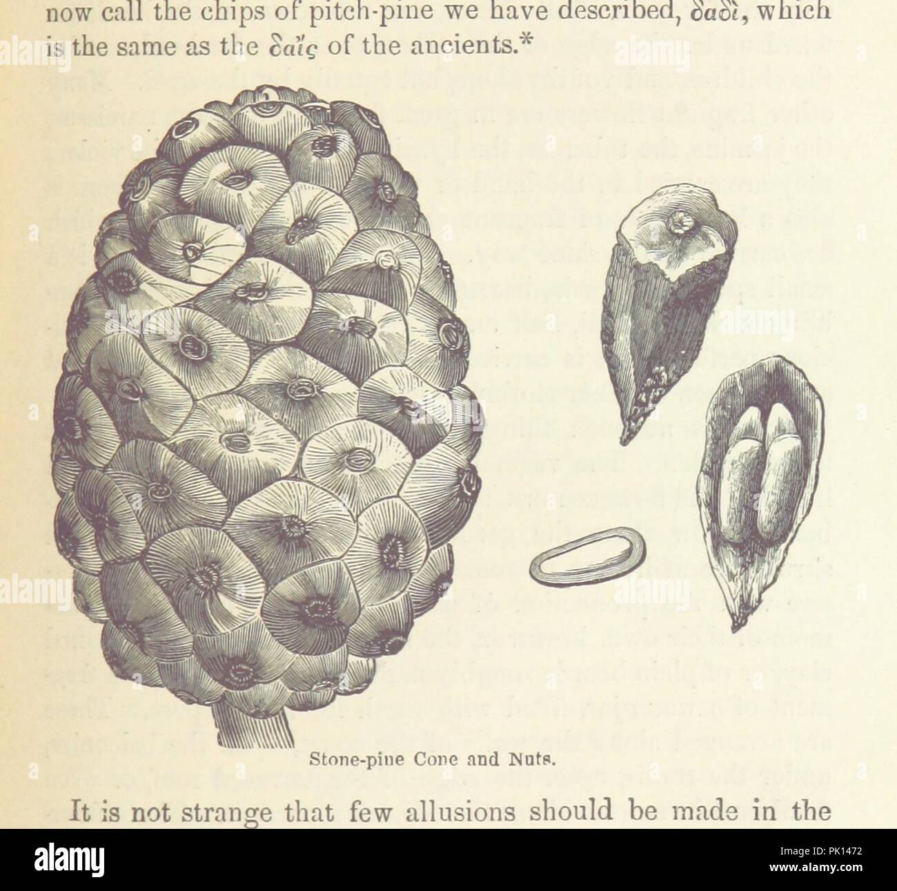 Bible lands customs manners illustrative hi-res stock photography and ...